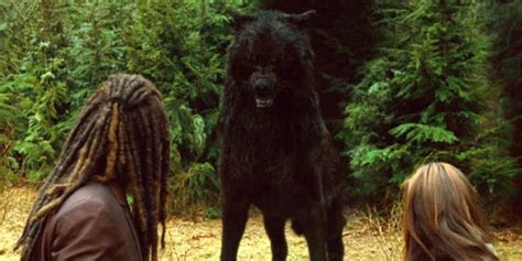 Pin On Twihard Love