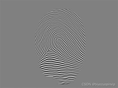 Matlab实现的数字图像处理（指纹增强）数字图像处理指纹识别 Csdn博客