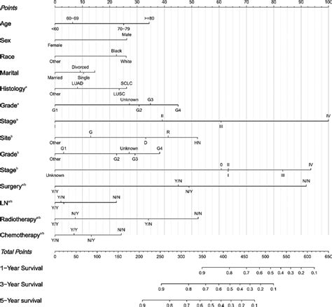 Survival Nomogram For Prognosis Of Double Primary Carcinoma With Lung