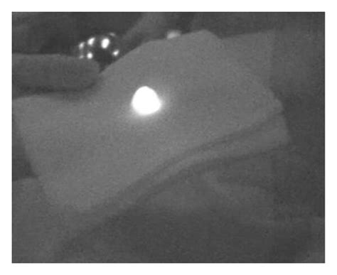 Nc Igc Tagged Excised Lymph Node Ex Vivo Download Scientific Diagram