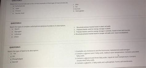 solved questions match the macromolecule to the correct