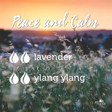 Peace And Calm Diffuser Blend Essential Oil Diffuser Blends Recipes