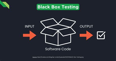 Black Box Vs White Box Testing What S The Difference And When To Use Each
