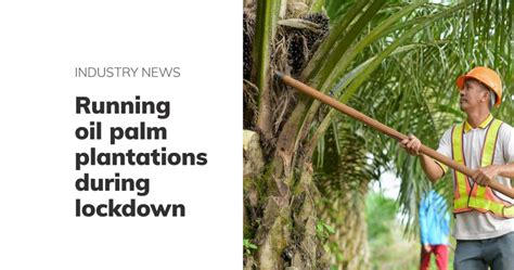 Spotlight Lintramax Quarto