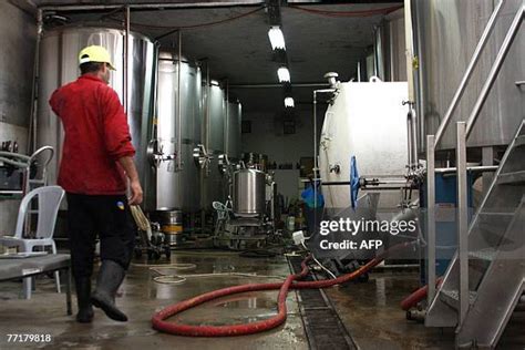 158 Taybeh Brewery Photos And High Res Pictures Getty Images