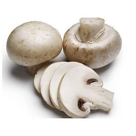 Pan India Mushroom Button Packaging Type Packet At ₹ 200 Kg In Haldwani
