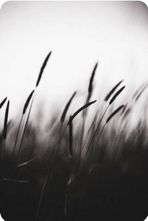 Black And White Photography Minimalist Aesthetic