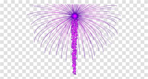 Firework Clipart Purple Light Effect  Nature Outdoors Night
