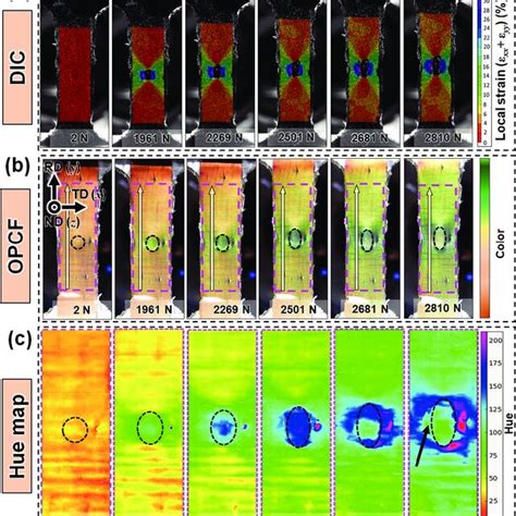 Strain Visualization Results Of The Holed Specimen At The Different