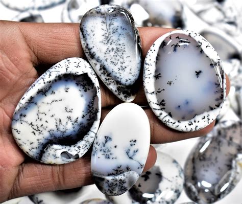 White And Black Dendritic Opal Agate Cabochon Moss Agate Smooth