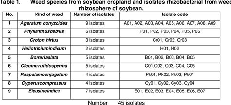 Table 1 From Selection Of Deleterious Rhizobacterial Isolate As Bioherbicide To Control Of Weed