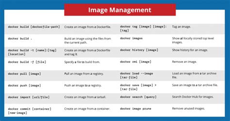Docker Commands Cheat Sheet Downloadable PDF PhoenixNAP