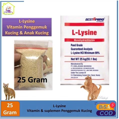 Lysine Cat Hair Growth And Fattening Medicine 25 Grm Shopee Philippines