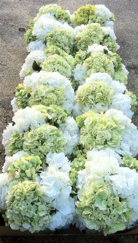 Stunning White And Green Hydrangea Centerpiece Green Wedding Flowers