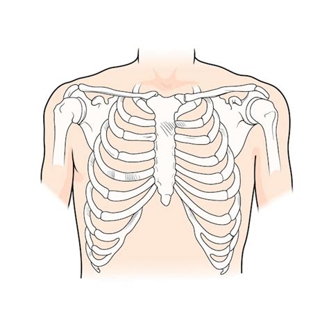 Premium Vector Edges