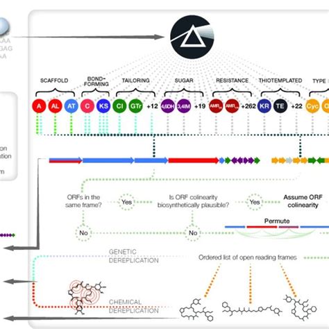 Prism Workflow For Genomic Prediction Of Secondary Metabolomes Open Download Scientific