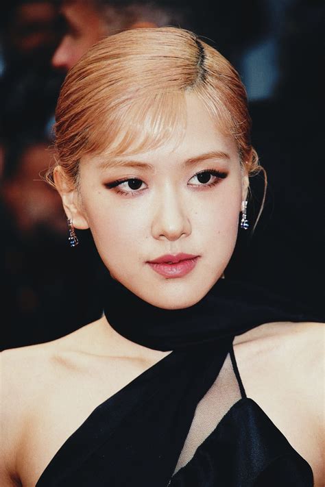 Lavender Rosie