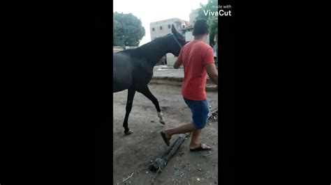 نتايه سوده من الحلوين العمر 11شهر Youtube