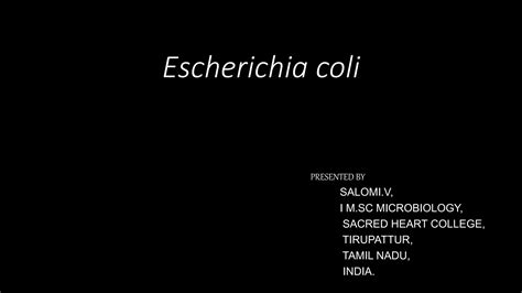 Pediatric Escherichia Coli Infections Clinical Presentation Fdomf