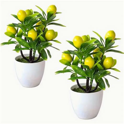Artificial Potted Lemon Trees French Affair