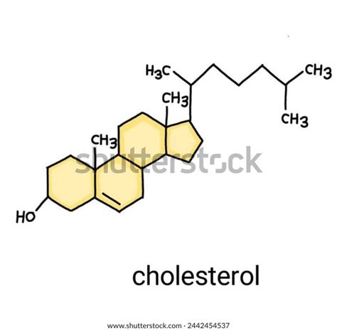 Structure Cholesterol Steroid Stock Illustration 2442454537 Shutterstock
