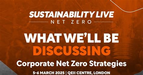 Sustainability Live Net Zeros Corporate Strategies Panel