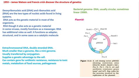 What Is Selectable Marker Vector At Richard Buntin Blog