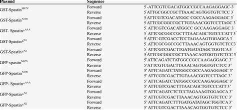 Primers Of Constructed Plasmids Download Scientific Diagram