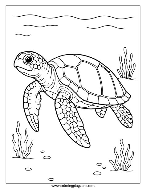 70 Free Printable Turtle Coloring Pages For All Ages