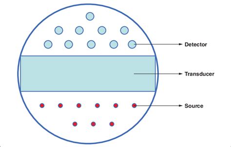 Schematic Cross Sectional Image Of Probe In Optical Diffusion Imaging