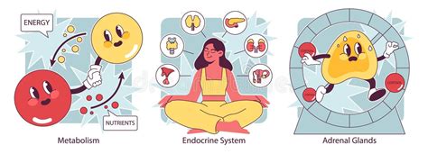 Endocrine Glands Cartoon Stock Illustrations 44 Endocrine Glands