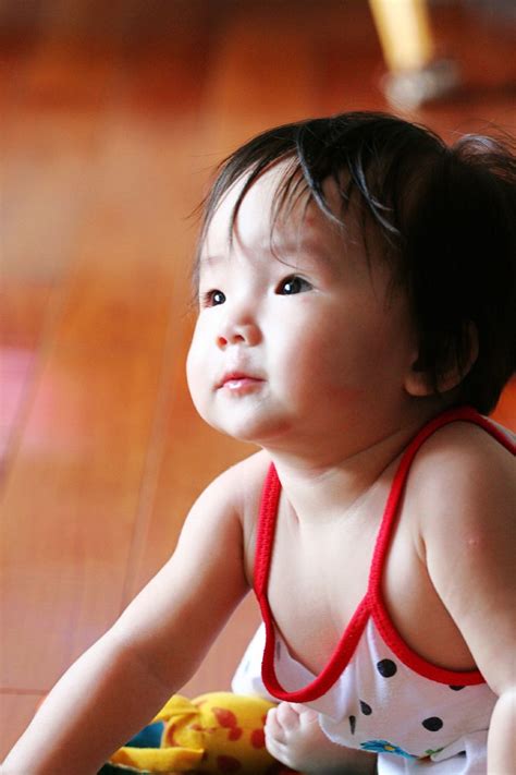 Img0068 Yuyu112601 Flickr