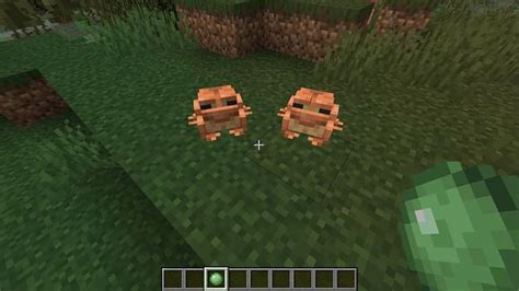 Frog Color Minecraft