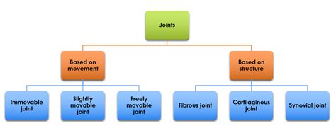 classification of the joints based on structure and degree of movement
