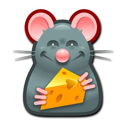 Packrat We Make Collecting Fun