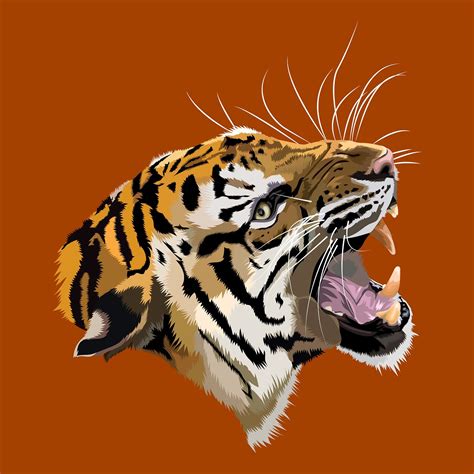 Tiger Roar Side View Drawing