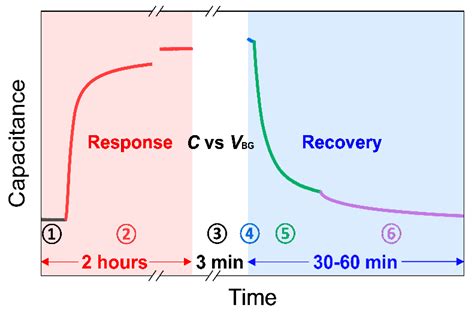 Nanomaterials Free Full Text Capacitive No2 Detection Using Cvd
