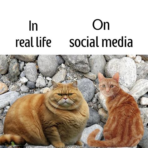 Diff Real And Social Scrolller