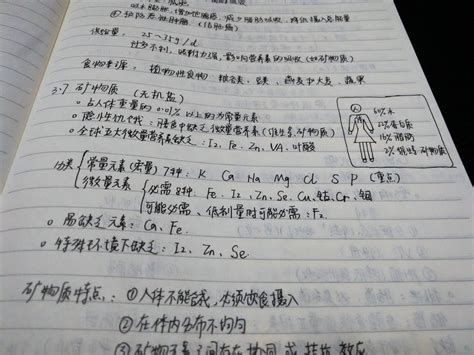 201503 如何对手写笔记进行漂亮和高效的排版？