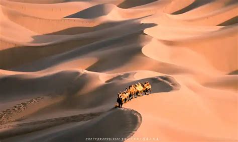 库木塔格 花瓣网