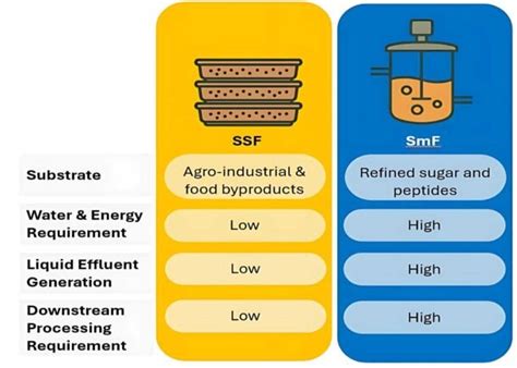 Solid State Fermentation A Step Towards Sustainable Production Benison Media