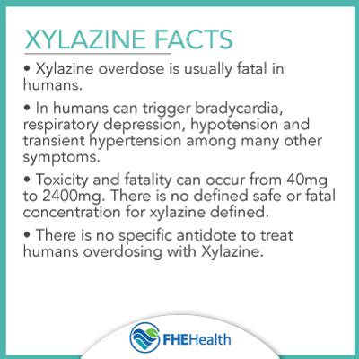 Xylazine The Veterinary Sedative With Human Risks Fhe Health