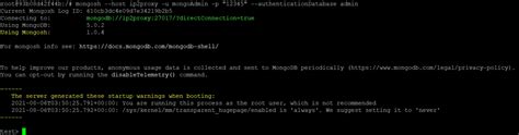How To Connect IP Proxy MongoDB Docker In Debian Container IP Location