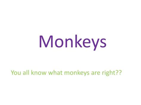 Ppt M Onkeys Powerpoint Presentation Free Download Id2399255