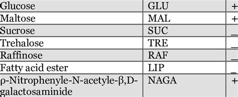 The Results Of Rapid Yeast Plus System For Identification Of C