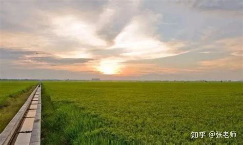 必去景点pick Malaysia 知乎