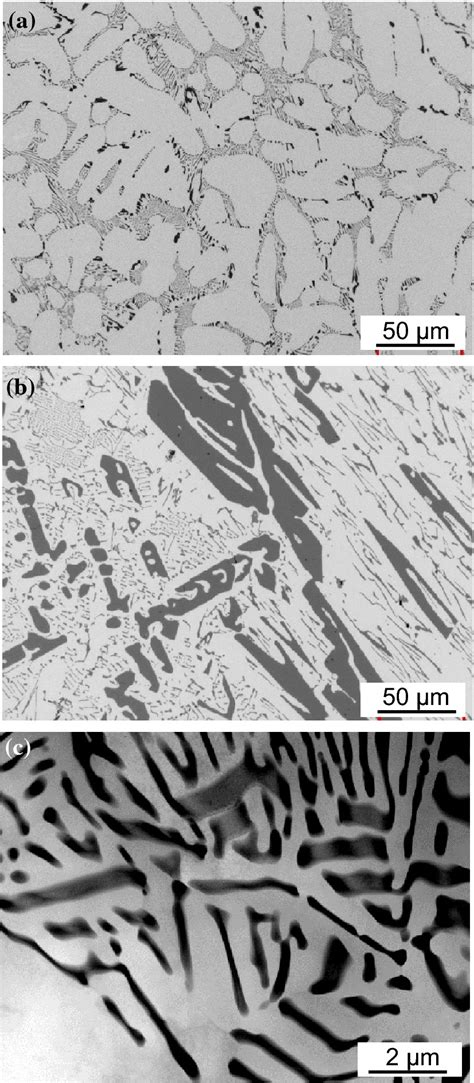 Microstructure Of Alce Binary Alloys A 5 Wt Ce Hypoeutectic With