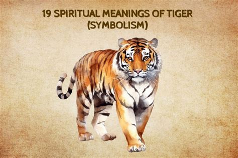 Tiger Symbolism Power Courage And Spiritual Strength Explained