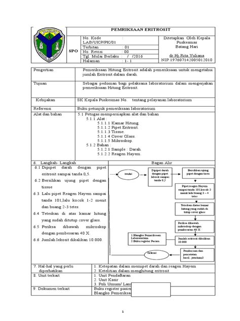 Pemeriksaan Eritrosit Pdf