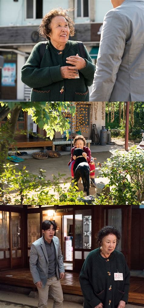 오 문희 제목 뜻은 나문희의 이름알고 보면 더 재미있는 비하인드